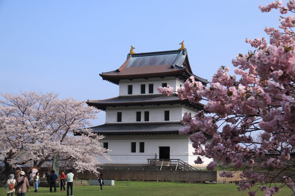 JP 2018 May Sakura Matsumae Castle | Japan Travel Insights by season