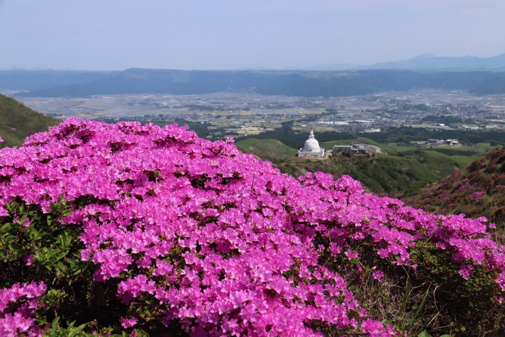 JP 2019 May Kuju Kogen | Japan Travel Insights by season